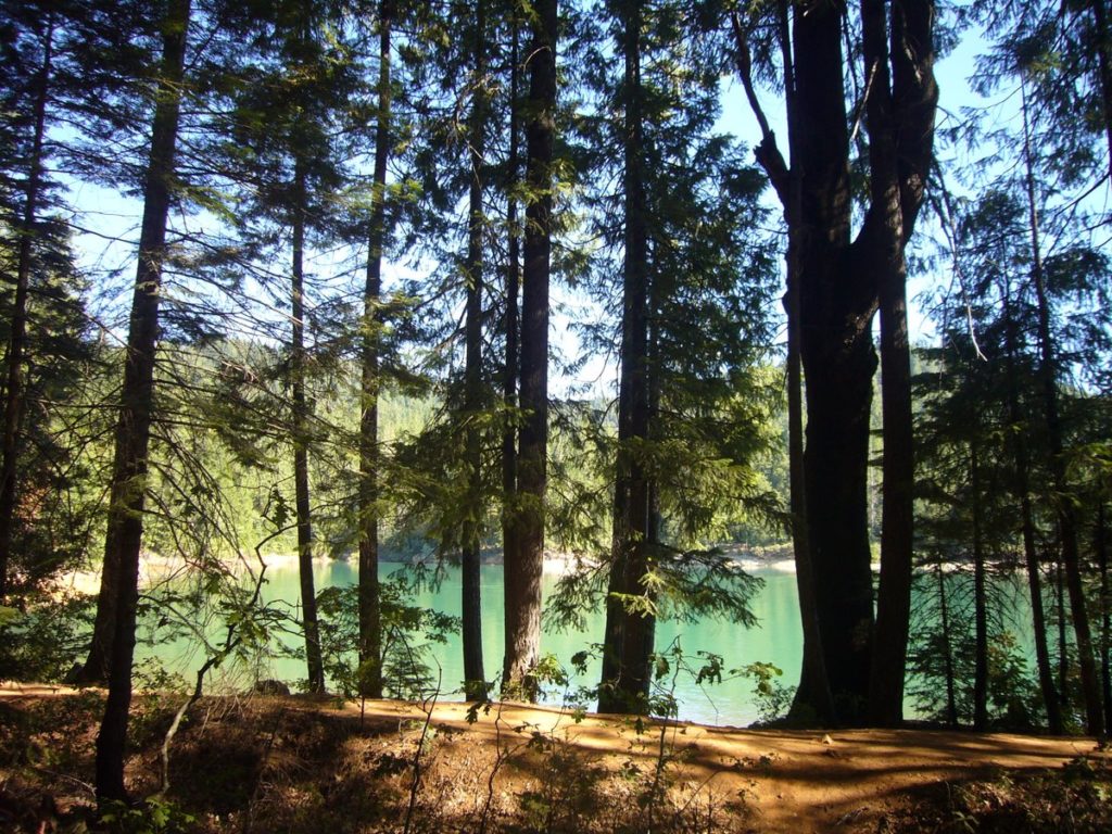 Scotts Flat Lake Camping Weekend – Andi the Tour Guide