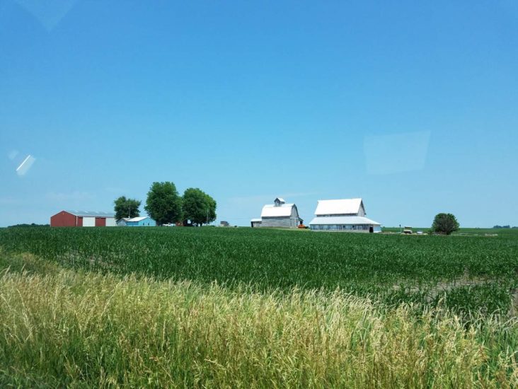 Farley Family Farm (USA – Day 18) – Andi the Tour Guide